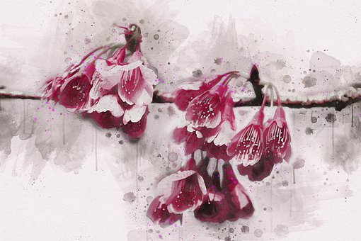 30+ Free Cherry Blossom Painting & Spring Images