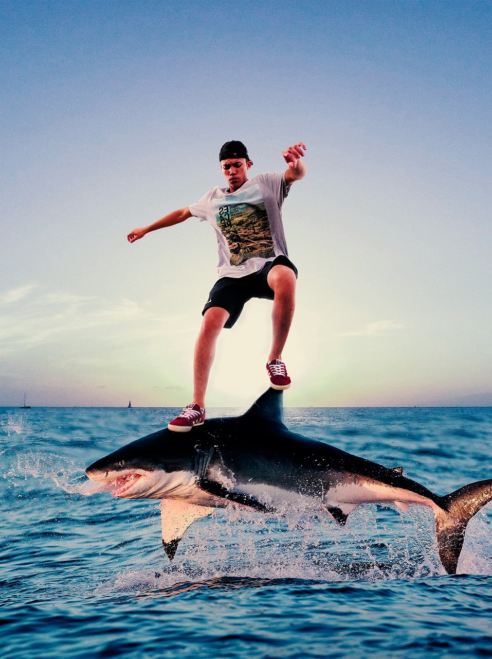 Fish Sea Manipulation - Free photo on Pixabay - Pixabay