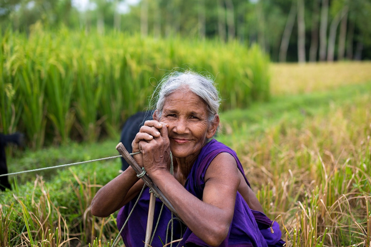 Old Woman Smile Paddy Field - Free photo on Pixabay - Pixabay