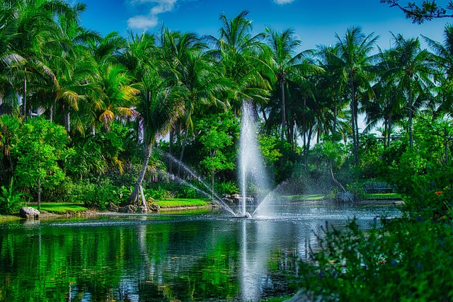 Fontaine Water Reflection - Free photo on Pixabay - Pixabay