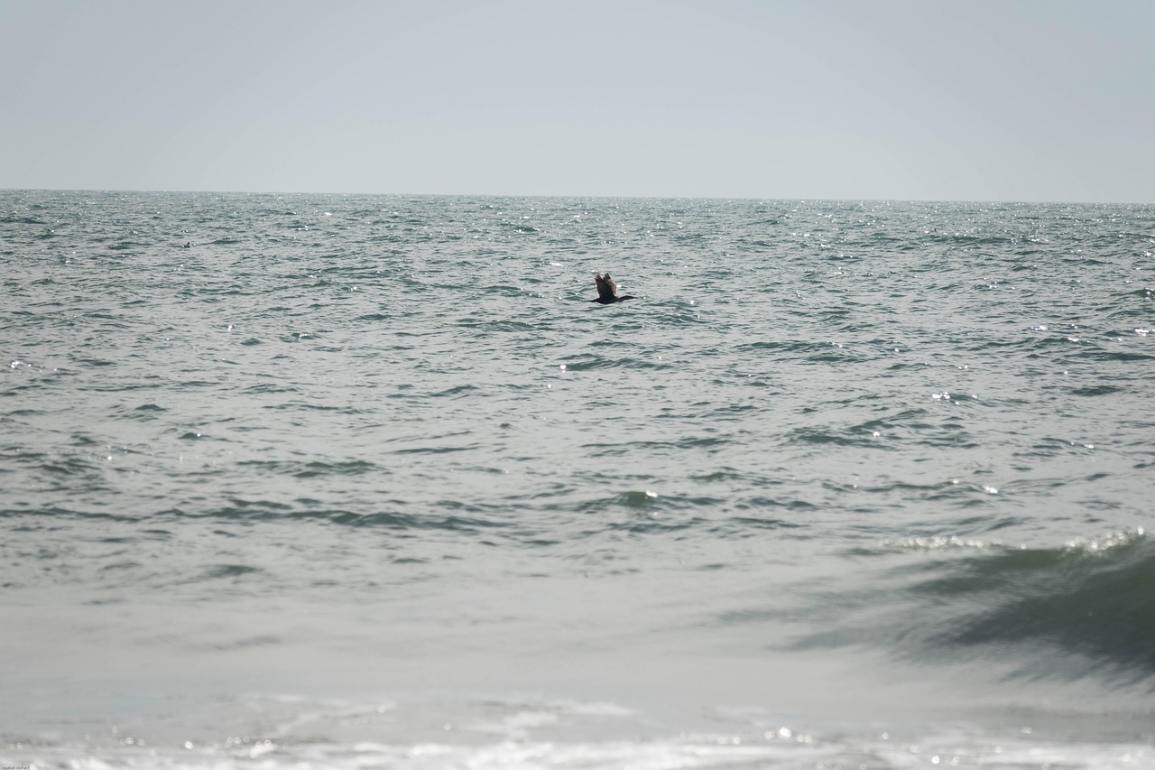 Ocean Nature Beach - Free photo on Pixabay - Pixabay