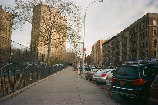 20+ Free Bronx & The Bronx Images
