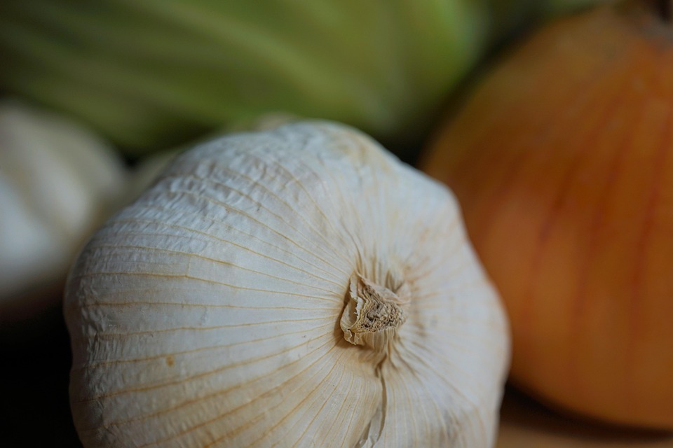 Garlic Vegetable Food - Free photo on Pixabay