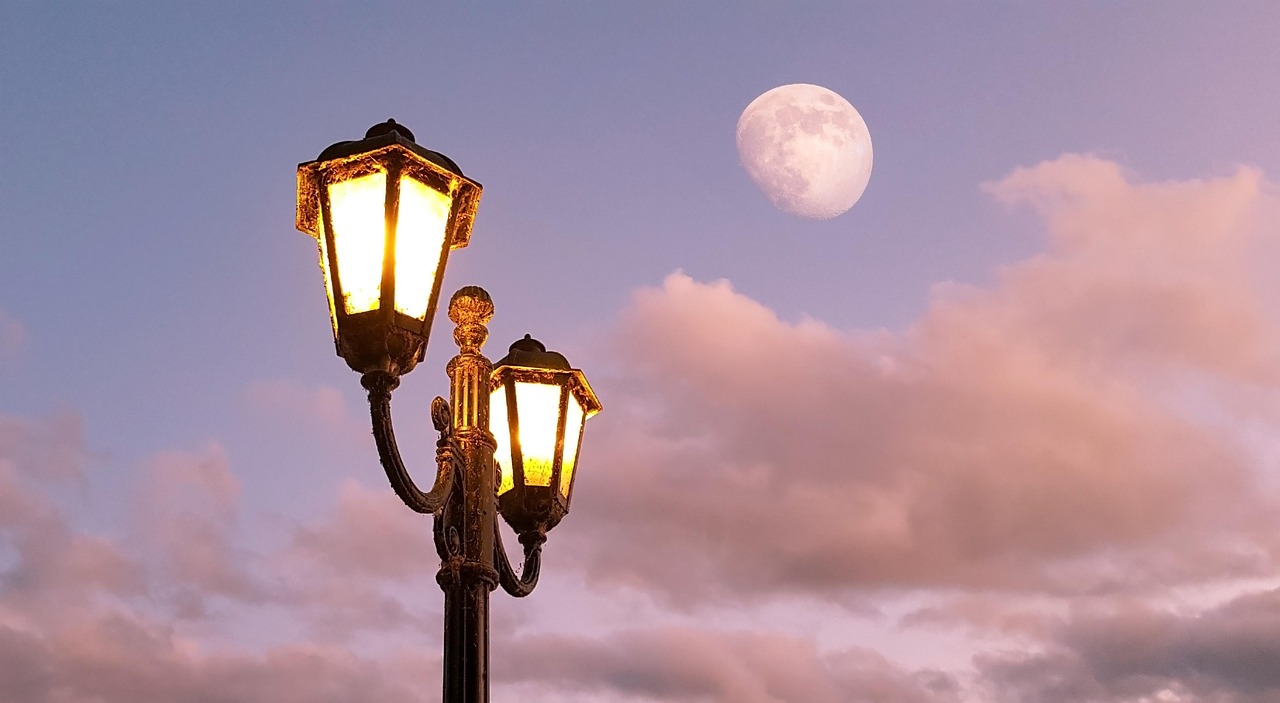Moon Light Trees - Free photo on Pixabay - Pixabay