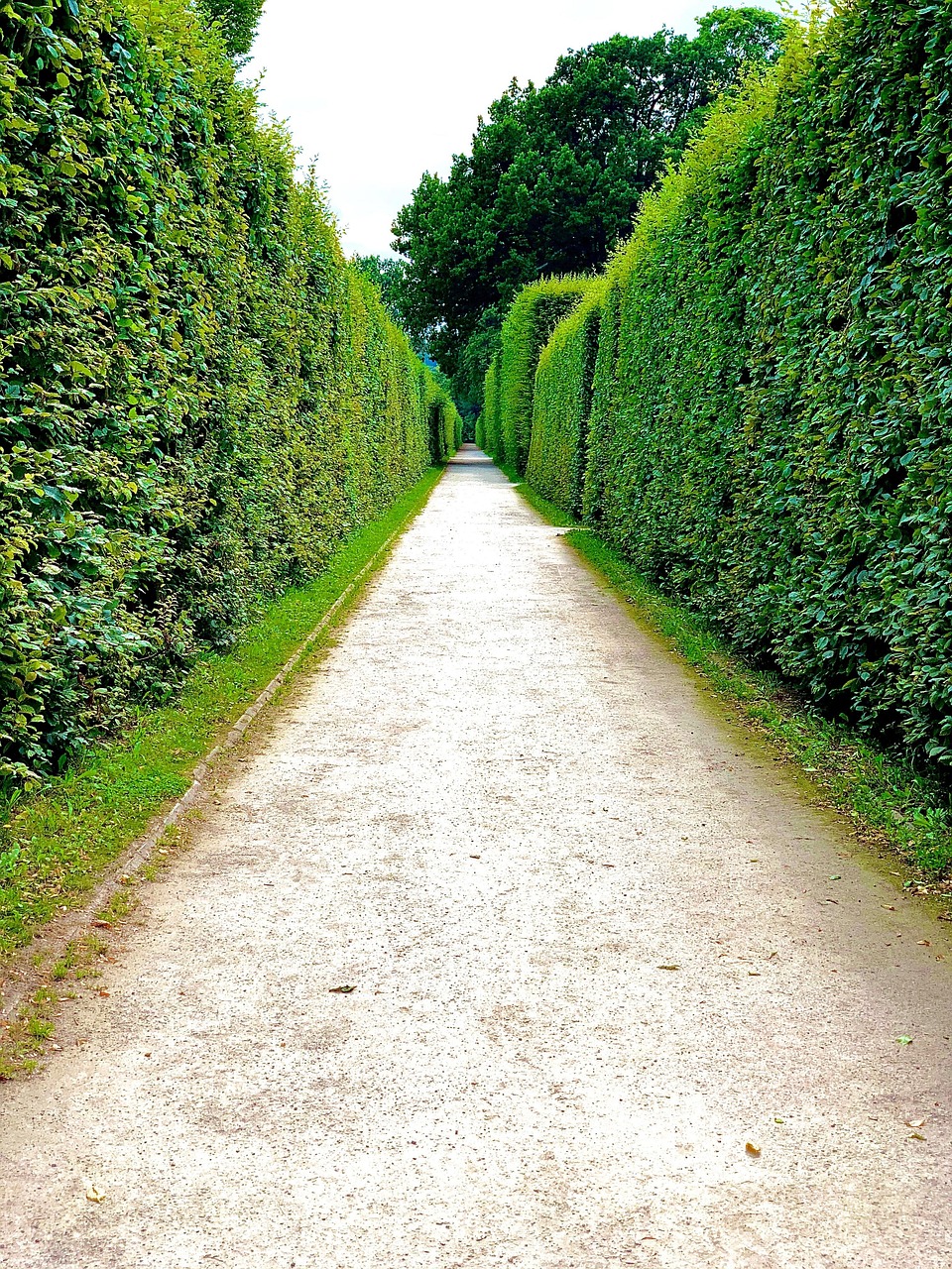 Landschaft Pfad - Kostenloses Foto auf Pixabay - Pixabay