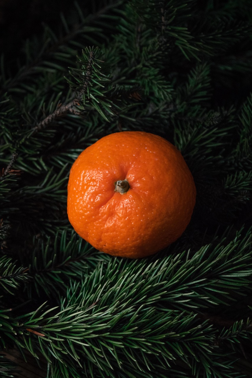 Mandarim Fruta Natal - Foto gratuita no Pixabay - Pixabay