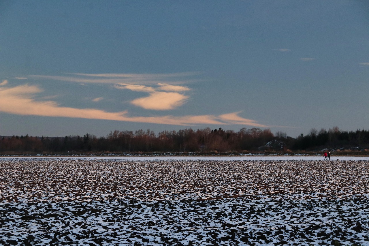 Field Snow Trees - Free photo on Pixabay