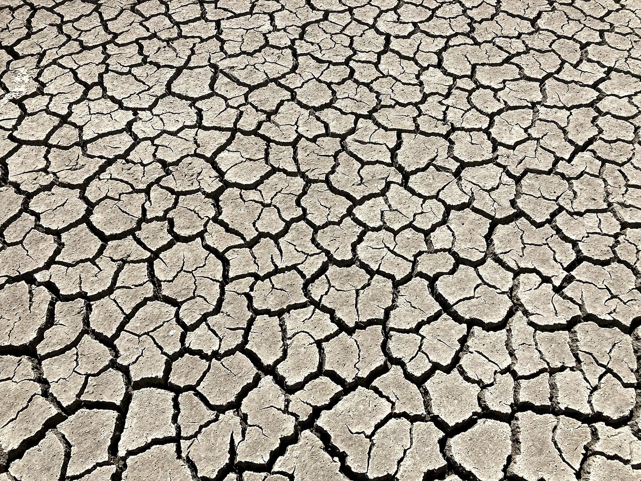 Ground Nature Dry - Free photo on Pixabay