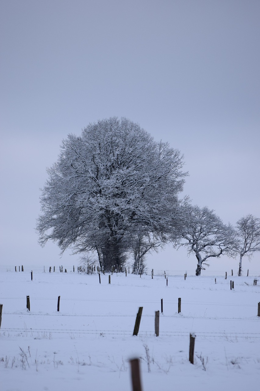 Paysage D'Hiver Neige La - Photo gratuite sur Pixabay - Pixabay
