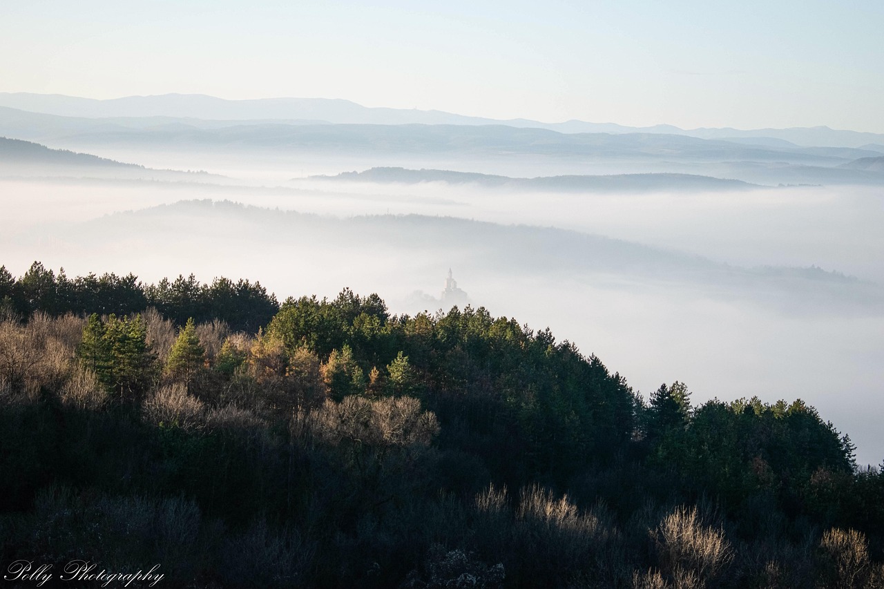 Landscape Fog Shot - Free photo on Pixabay - Pixabay