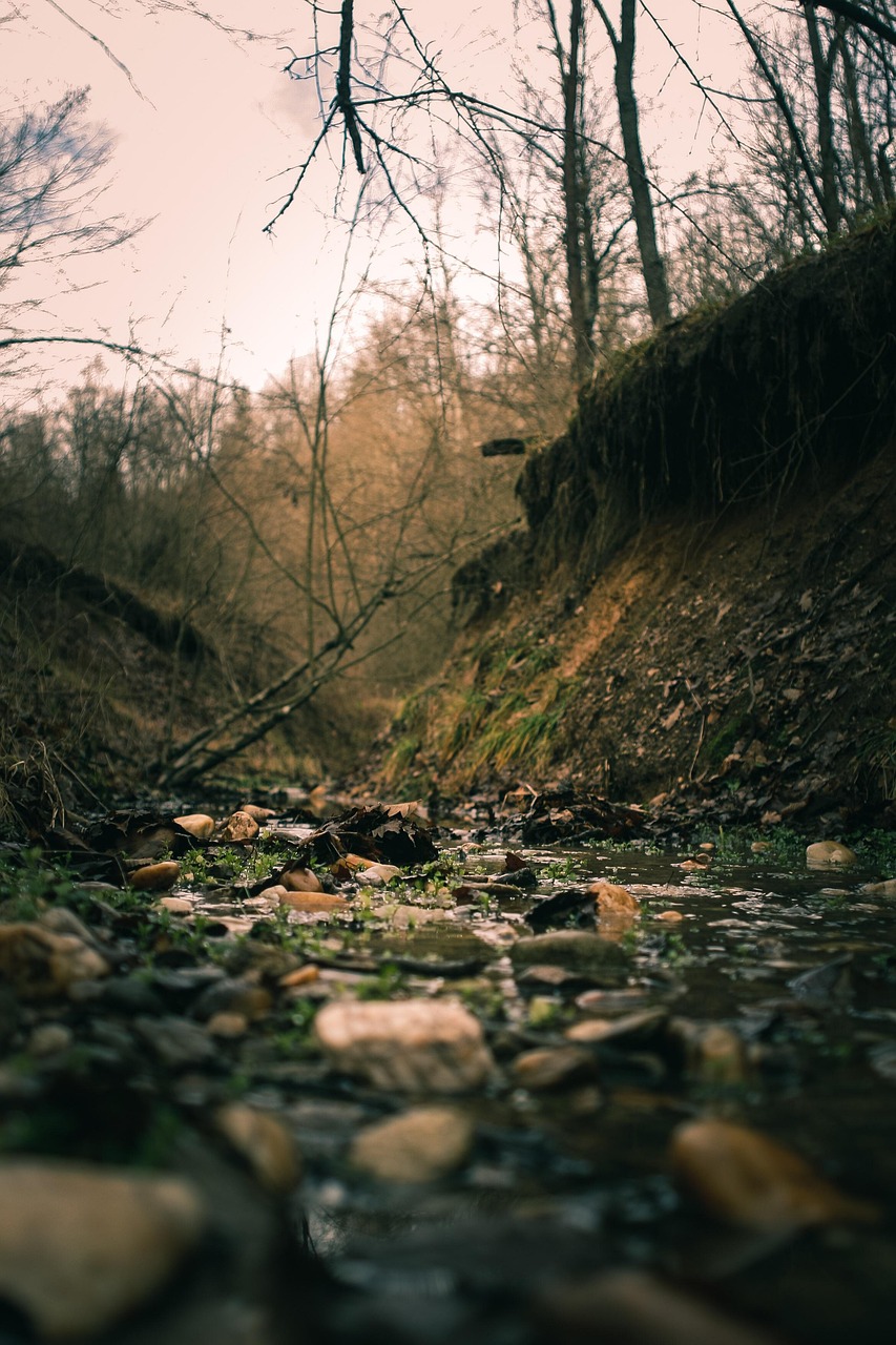 Ruisseau Rochers Cailloux - Photo gratuite sur Pixabay - Pixabay
