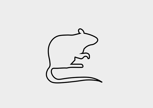 10,000+ Free Mouse Outline & Mouse Images - Pixabay