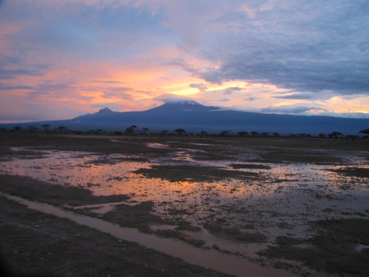Afrique Safari Le Coucher Du - Photo gratuite sur Pixabay - Pixabay