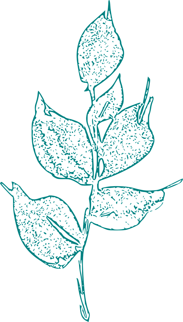 Download Sheet, Plant, Nature. Royalty-Free Vector Graphic - Pixabay