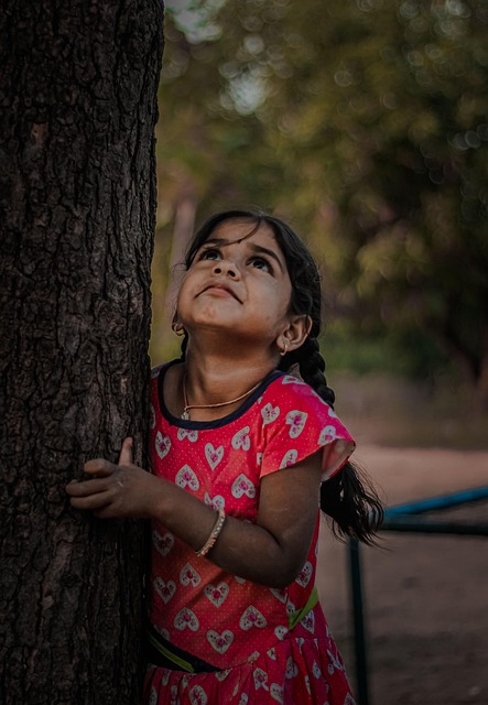 Little Girl Tree Playground - Free photo on Pixabay - Pixabay