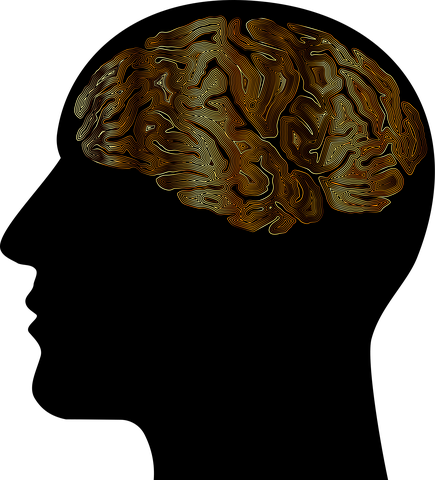 100+ Free Mental Health & Brain Vectors - Pixabay