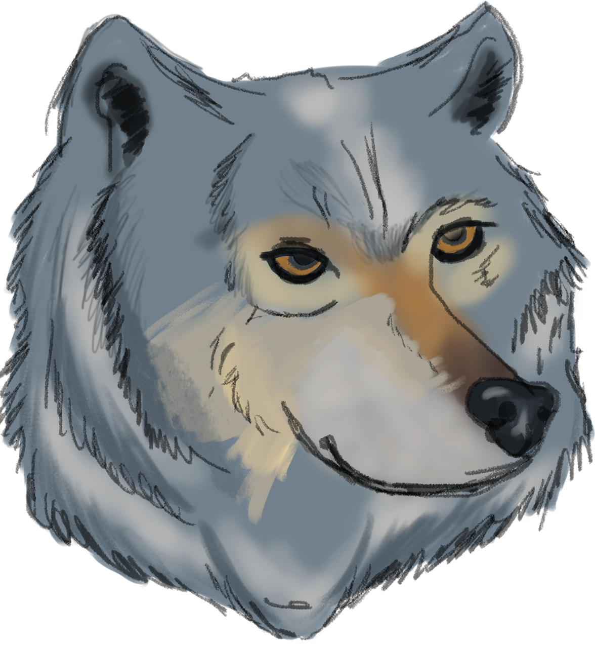10,000+ of the Best Wolf Face Illustrations - Pixabay
