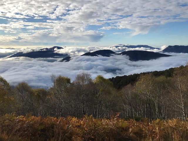 Towards Mount Lema Alpine Route - Free photo on Pixabay - Pixabay