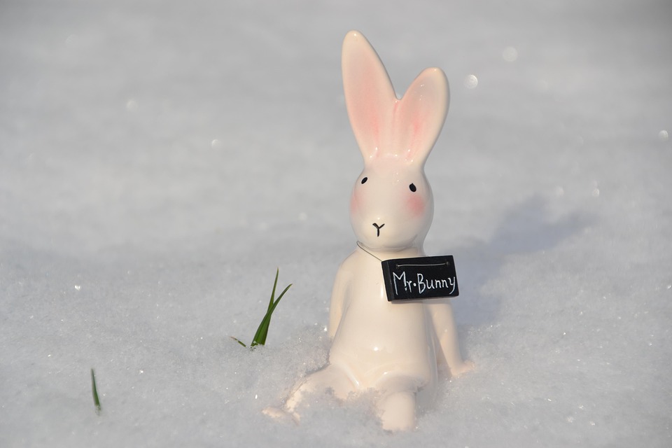 Bunny Figure Snow - Free photo on Pixabay - Pixabay