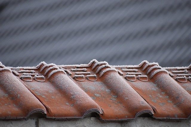 50+ Free Frozen Roofs & Frozen Images - Pixabay