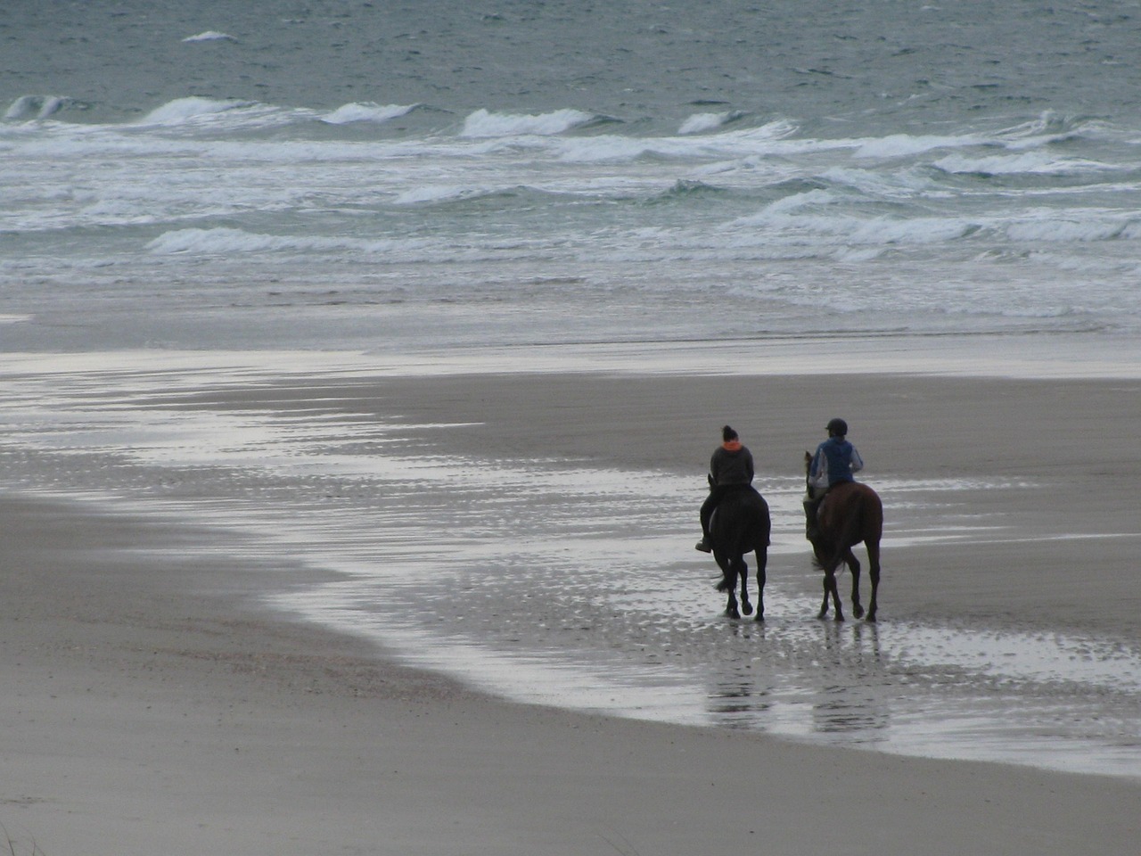 Cavalos Praia Cavalo - Foto gratuita no Pixabay - Pixabay