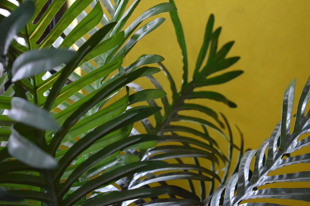 Planta Verde - Foto gratuita no Pixabay - Pixabay