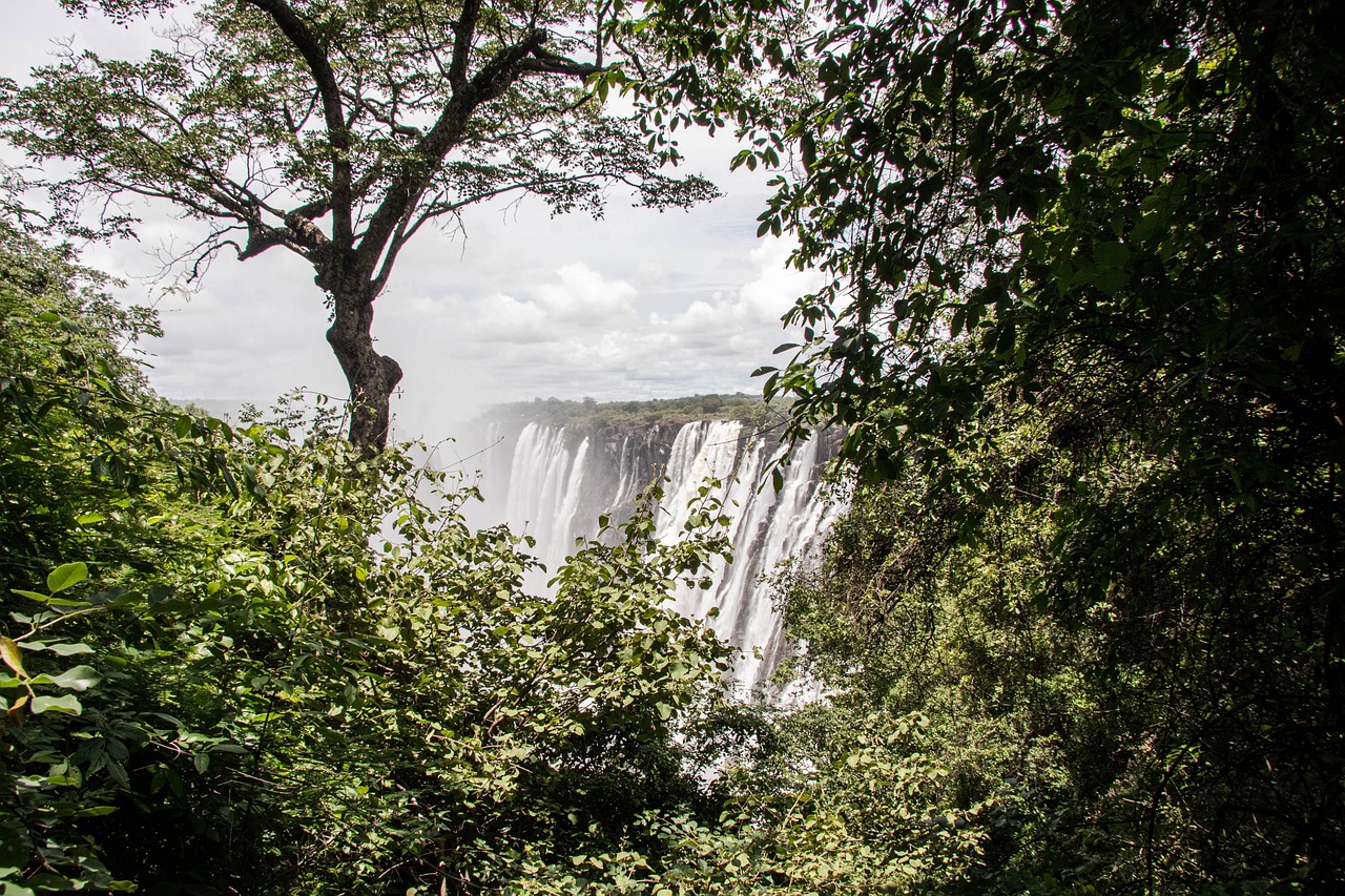 Victoria Falls Trees Livingstone - Free photo on Pixabay - Pixabay