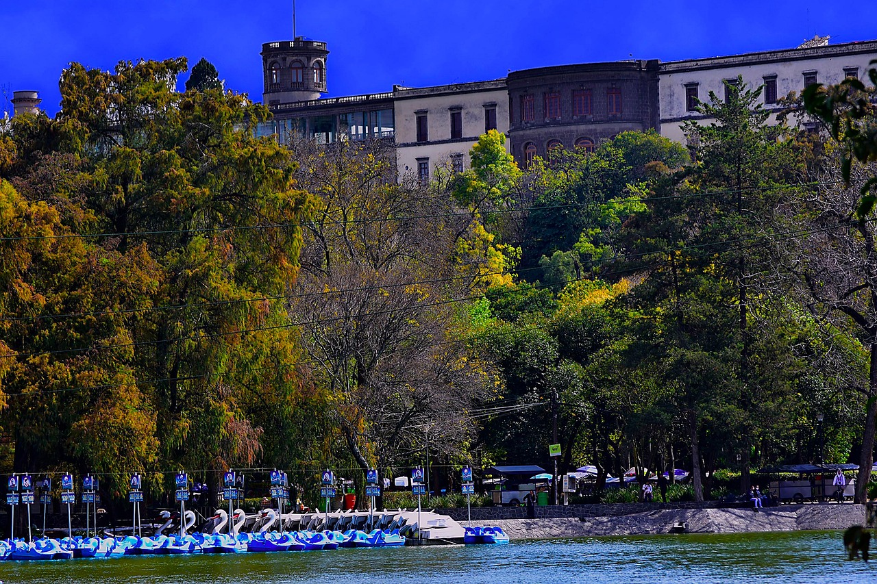 Chapultepec Cdmx Sunday - Free photo on Pixabay - Pixabay