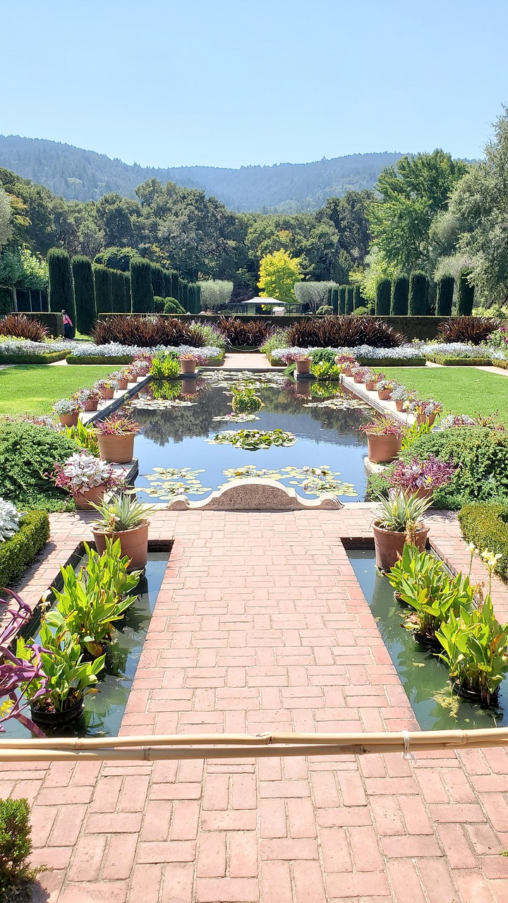 Outdoor Garden Pond - Free photo on Pixabay