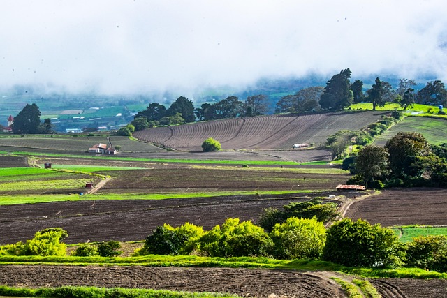 Farming Cultivation Field - Free photo on Pixabay - Pixabay