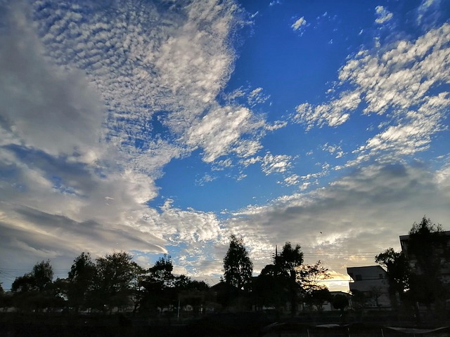 Ciel Cirrocumulus Parc - Photo gratuite sur Pixabay - Pixabay