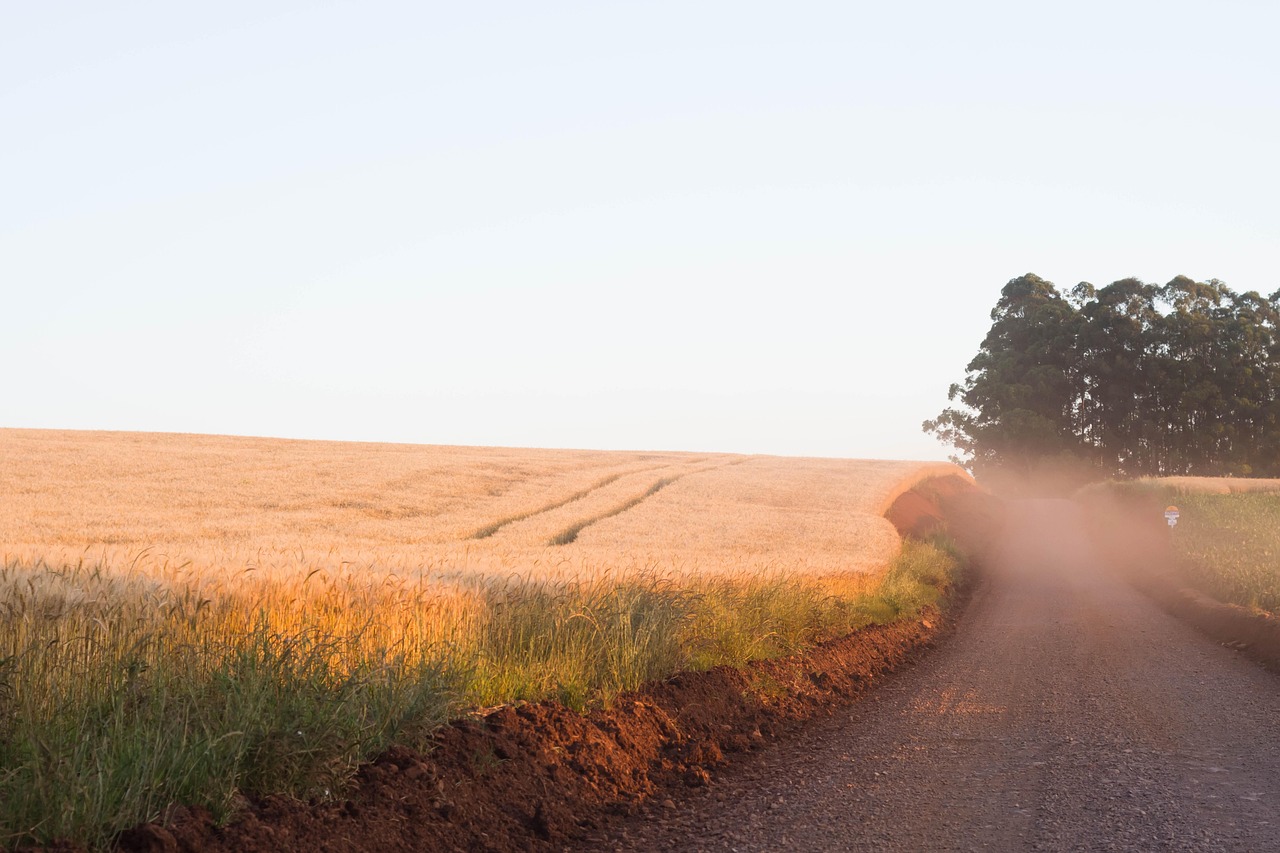 Road Farm Rural Dirt - Free photo on Pixabay - Pixabay
