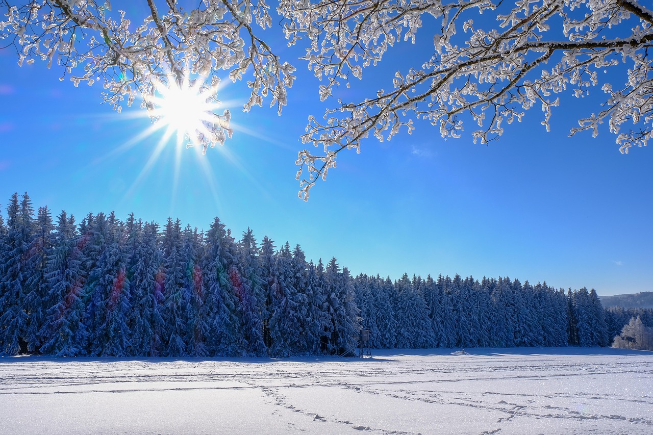 Winter Snow Landscape Covered In - Free photo on Pixabay