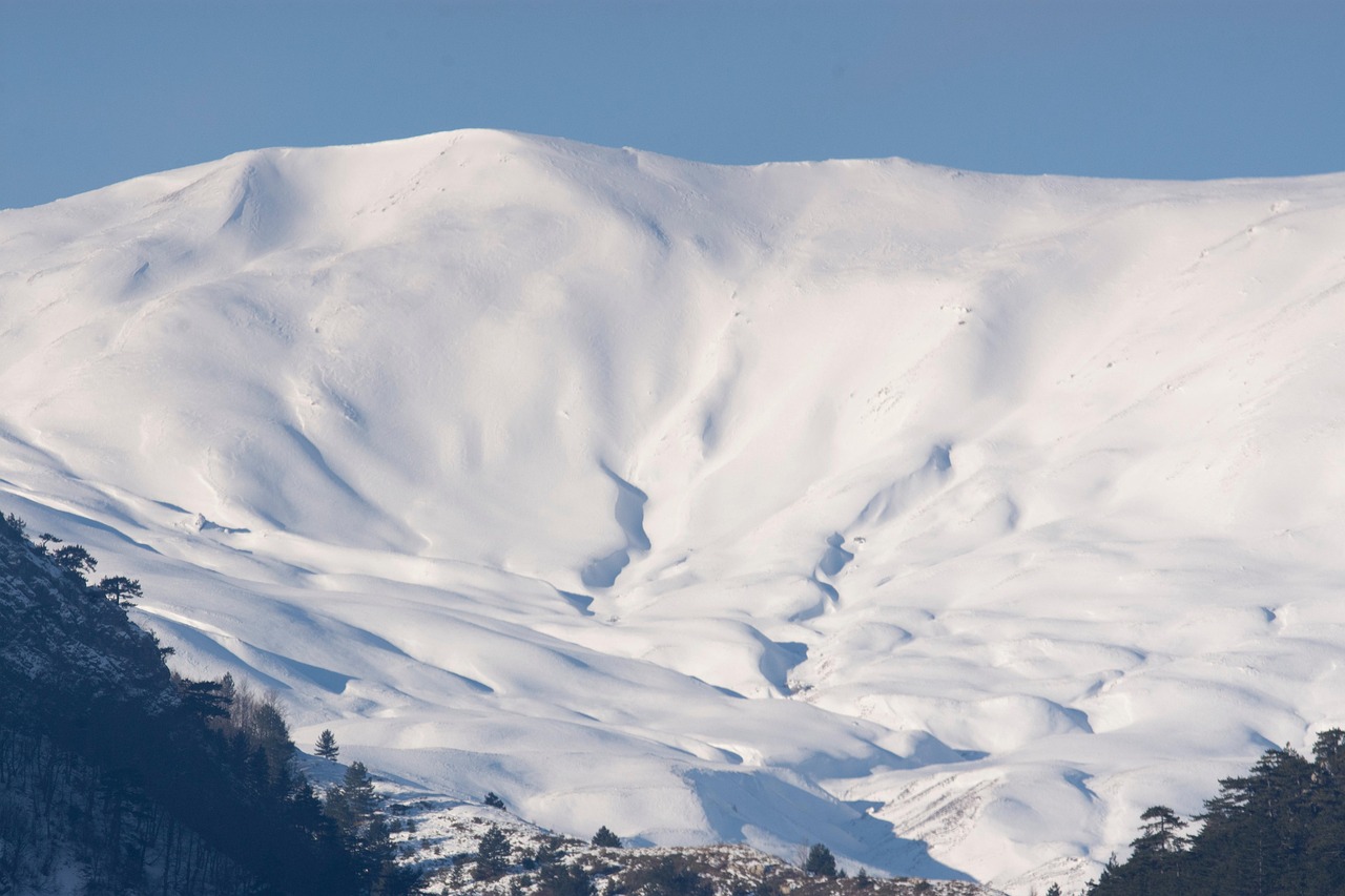 Winter Snow Frozen - Free photo on Pixabay