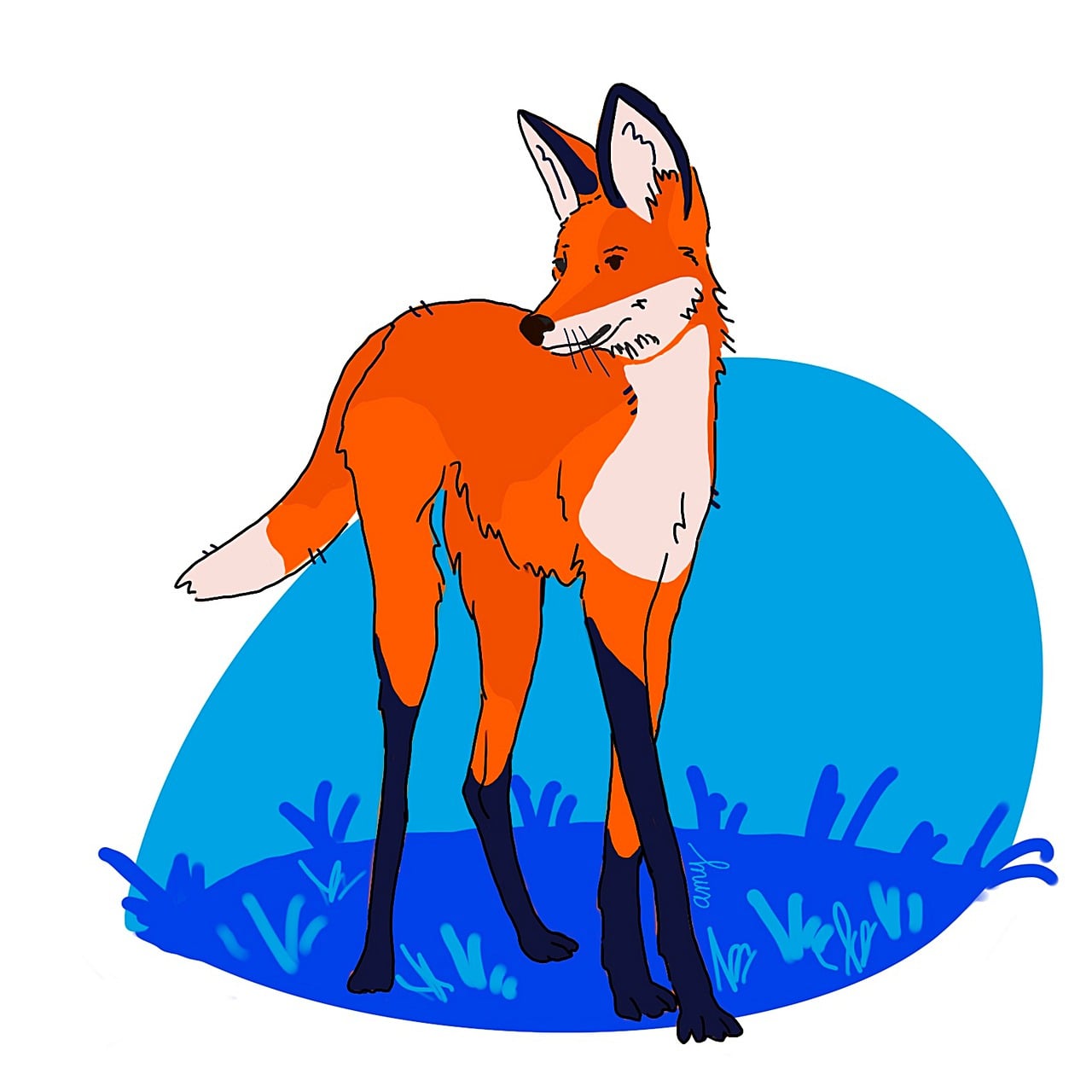 100+ Free Coyote & Nature Images - Pixabay