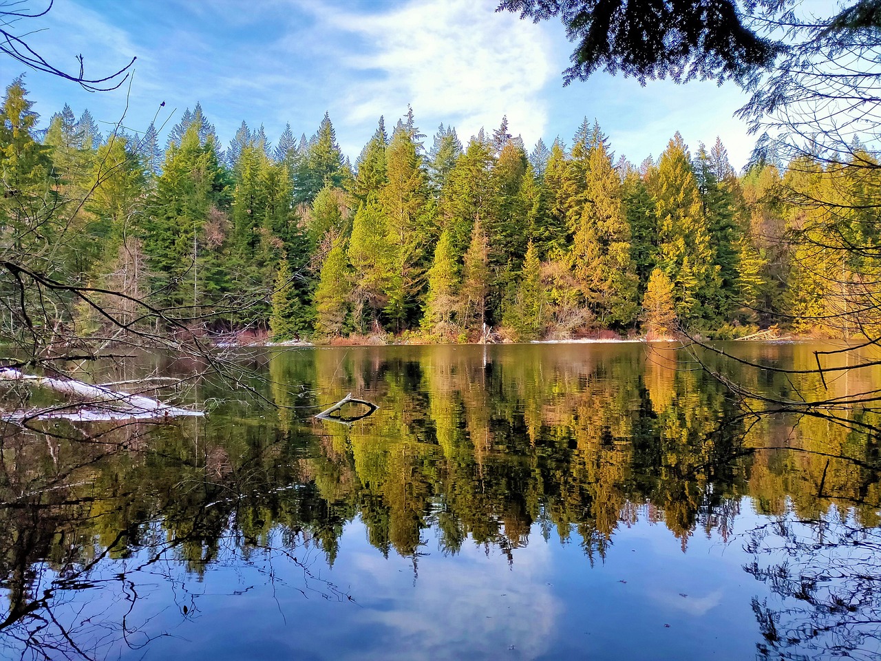 Lake Forest Sky - Free photo on Pixabay - Pixabay