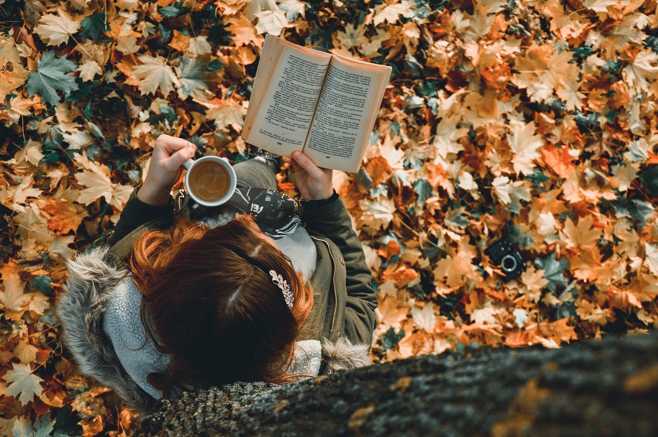 Más de 7 000 imágenes gratis de Leyendo y Leer - Pixabay