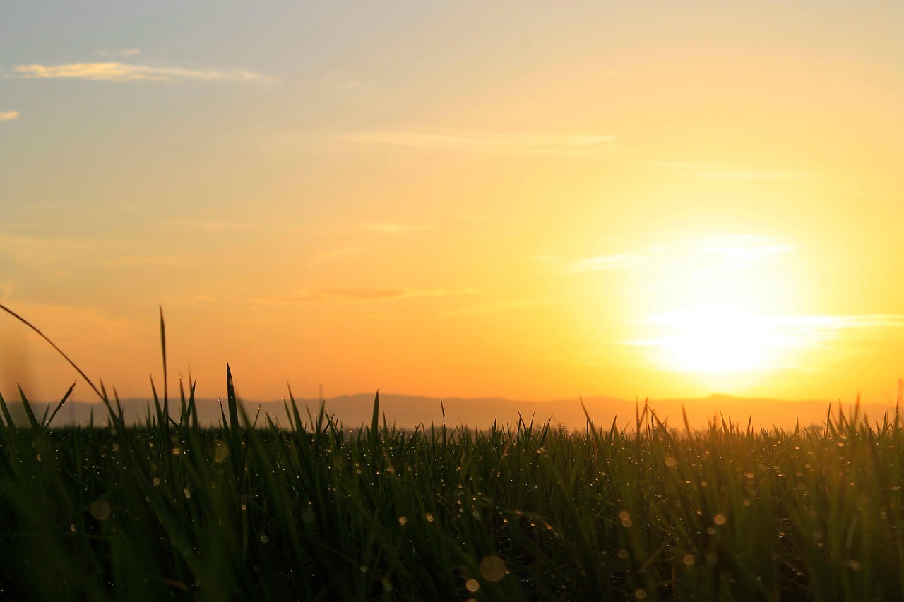 Lever Du Soleil Matin Paysage - Photo gratuite sur Pixabay - Pixabay