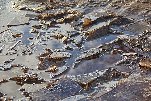 Puddle Ice Winter - Free photo on Pixabay - Pixabay