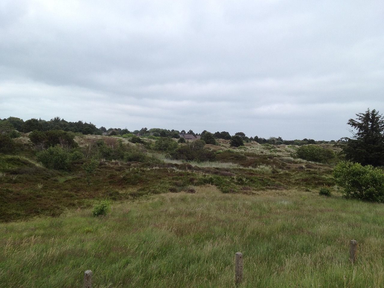 North Sea Sand Dunes Beach - Free photo on Pixabay - Pixabay