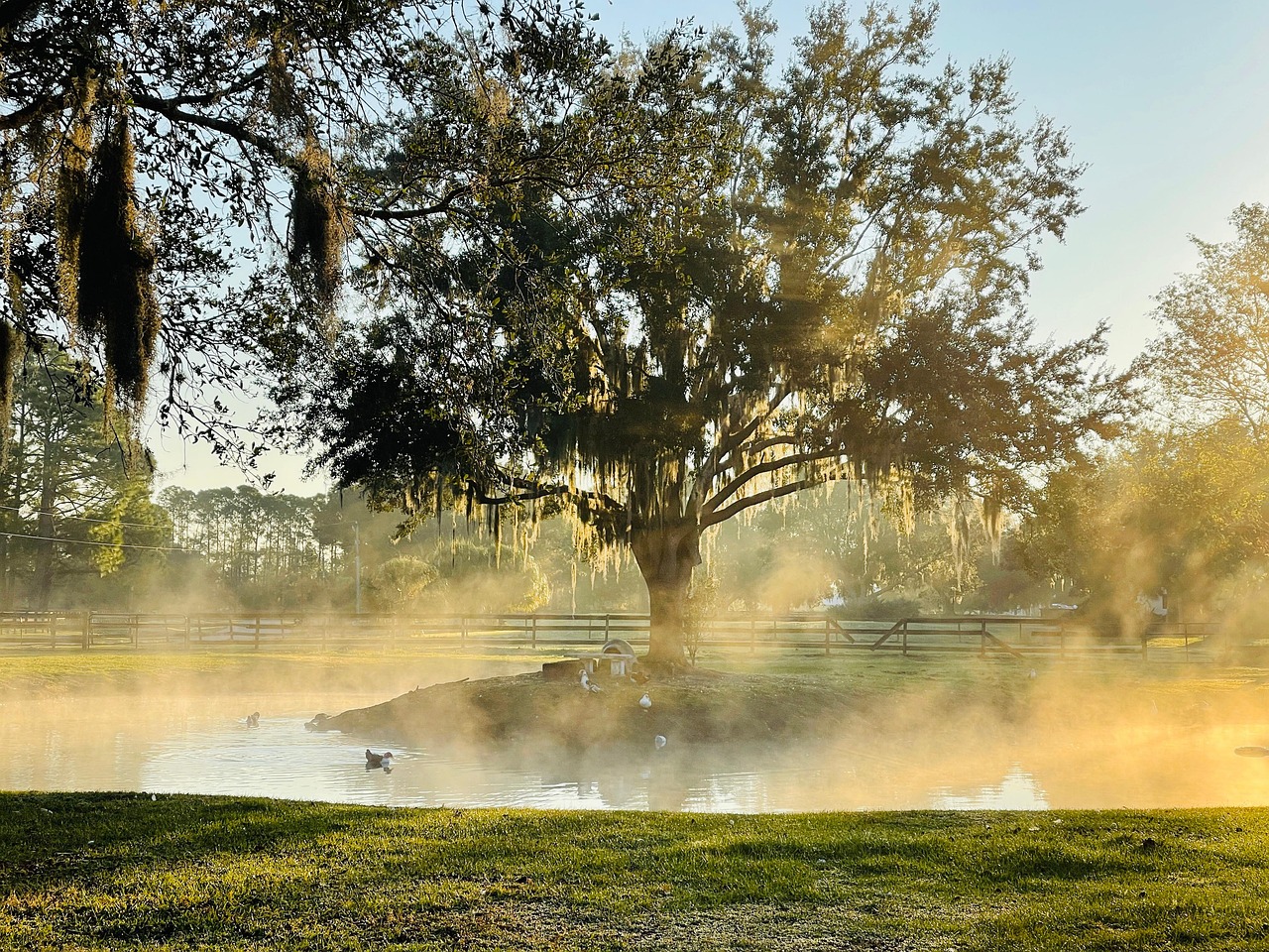 Farm Morning I Crop