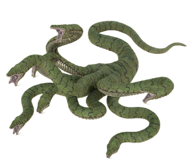 5+ Free Hidra Mitología & Hydra Images - Pixabay