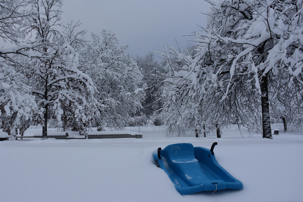 Trenó Inverno Neve - Foto gratuita no Pixabay - Pixabay