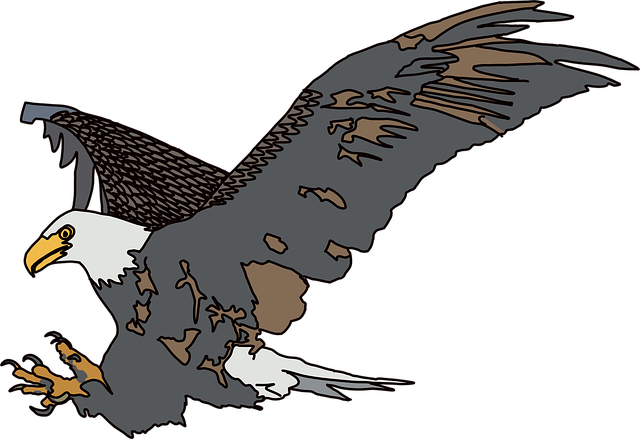 Burung Rajawali Sayap - Gambar vektor gratis di Pixabay