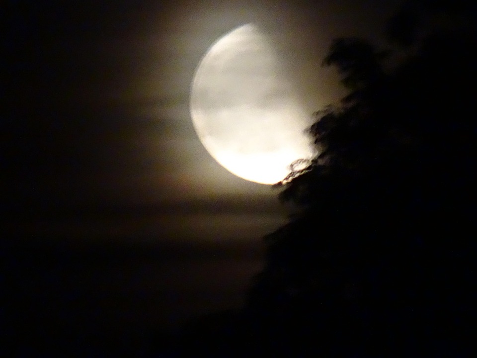 Mond Nebel Mondlicht - Kostenloses Foto auf Pixabay - Pixabay
