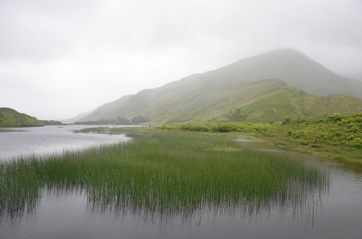 30+ Free Ireland Fog & Ireland Images
