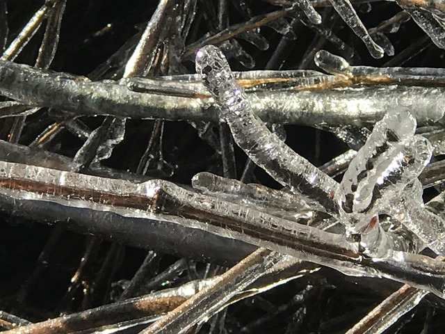 Icicles Cold Ice - Free photo on Pixabay - Pixabay
