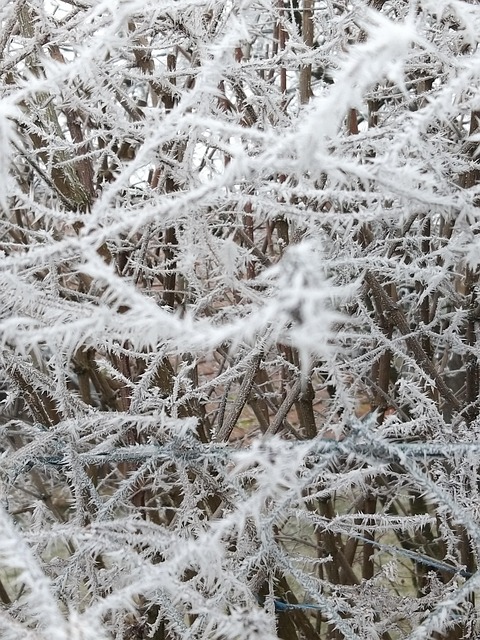 Eis Schnee Kalt - Kostenloses Foto auf Pixabay - Pixabay