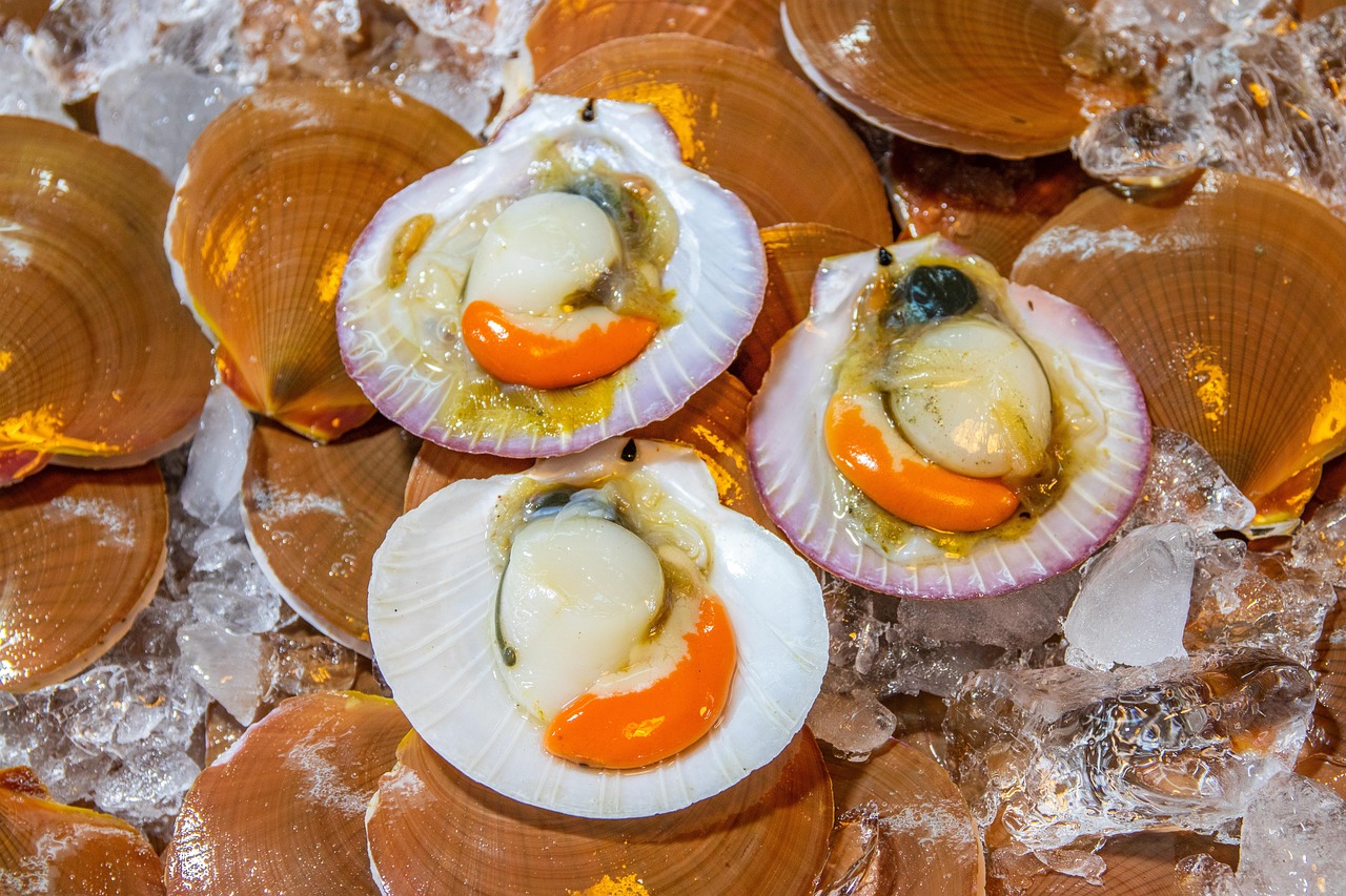 Muscheln Schalentiere Thailand - Kostenloses Foto auf Pixabay - Pixabay