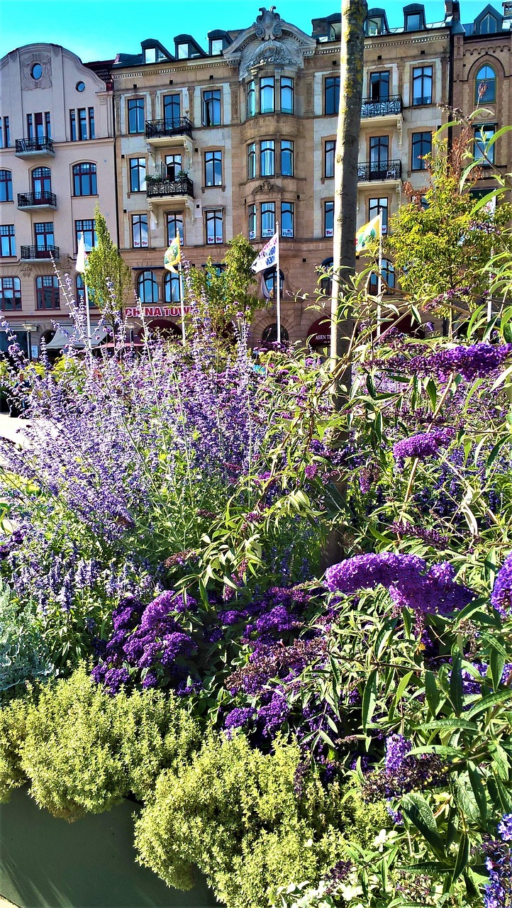 Edifício Com Flores Helsingborg - Foto gratuita no Pixabay - Pixabay